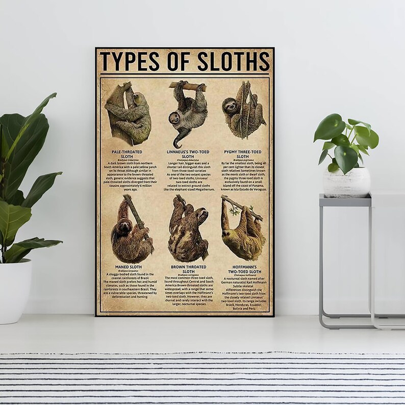 Types of Sloths Vintage Poster Sloth Lover Gift Sloth Art - Etsy
