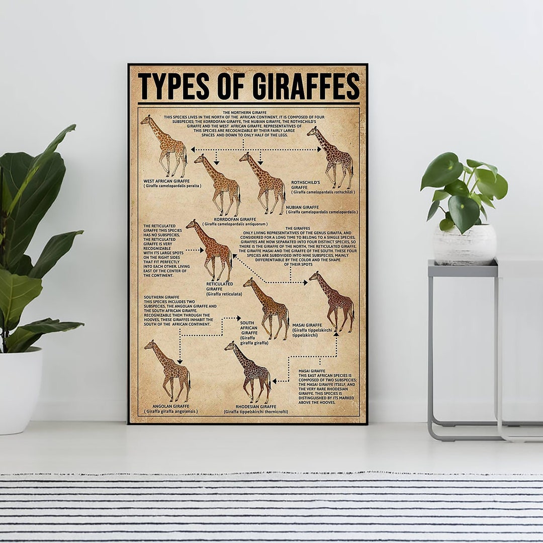 Types of Giraffes Vintage Poster, Giraffe Lover Gift, Giraffe Art Print ...