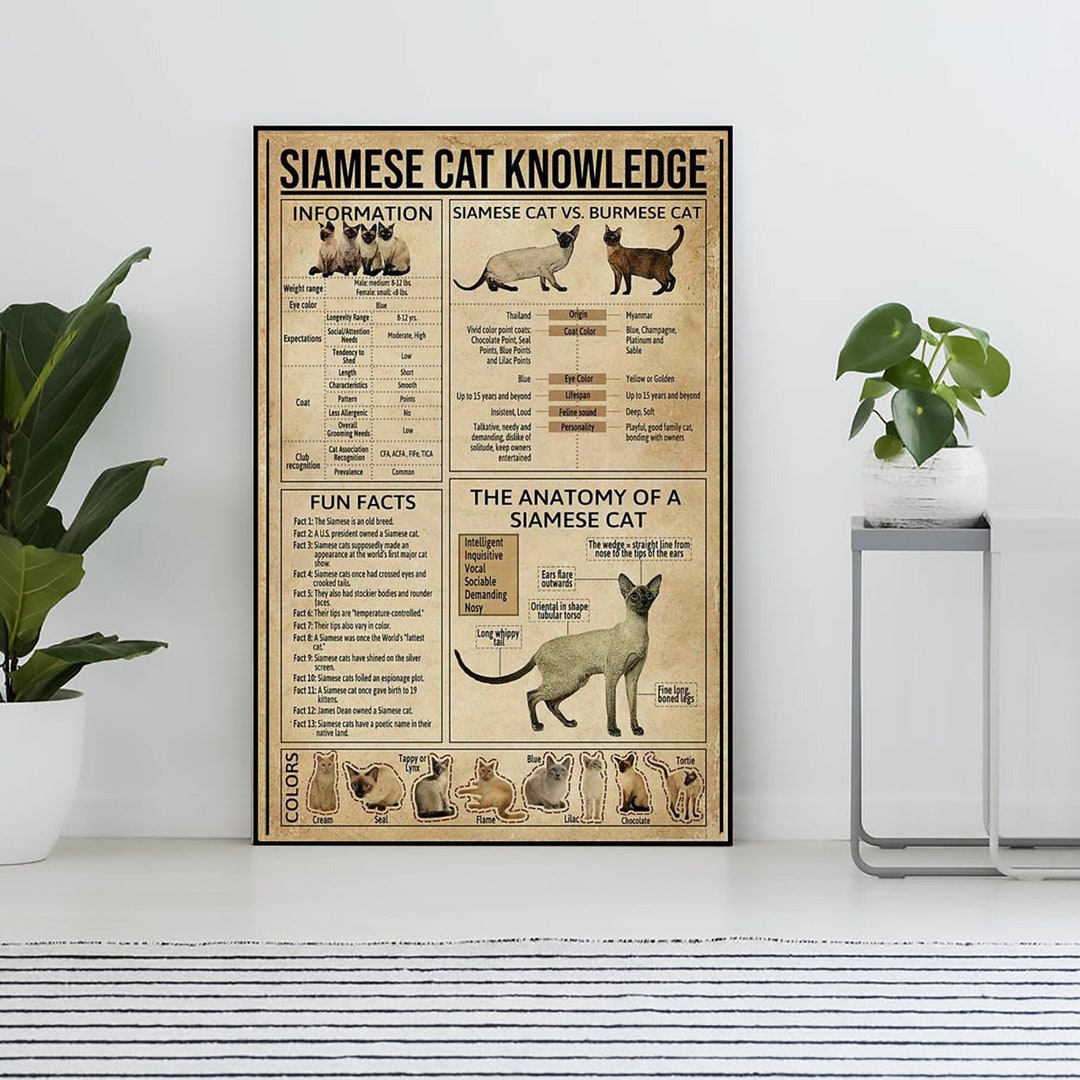 Unframed Siamese Cat Knowledge Vintage Poster, Siamese Cat Lover Gift ...