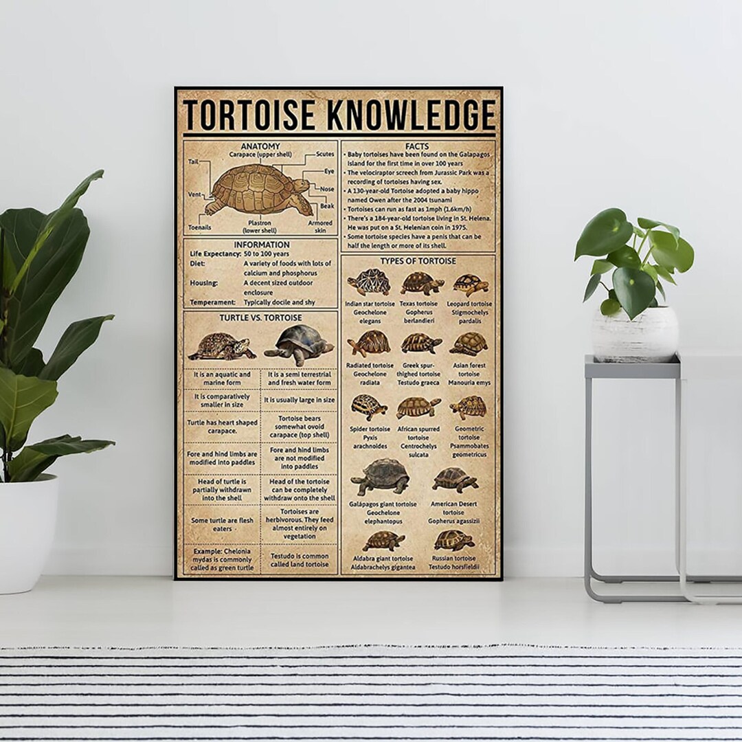Unframed Tortoise Knowledge Poster, Tortoise Lover Gift, All About ...
