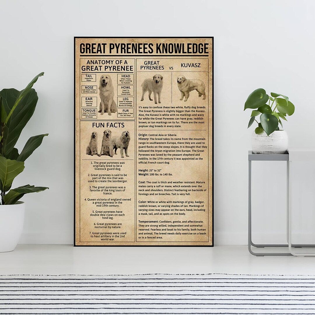 Great Pyrenees Knowledge Vintage Poster, All About Great Pyrenees ...