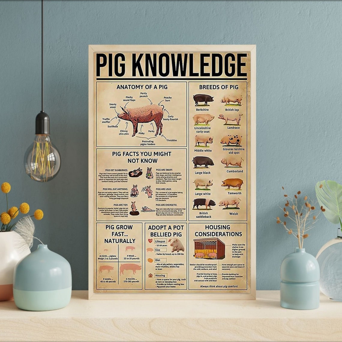 Pig Knowledge Poster, Pig Lover Gift, All About Pig Poster, Vintage ...