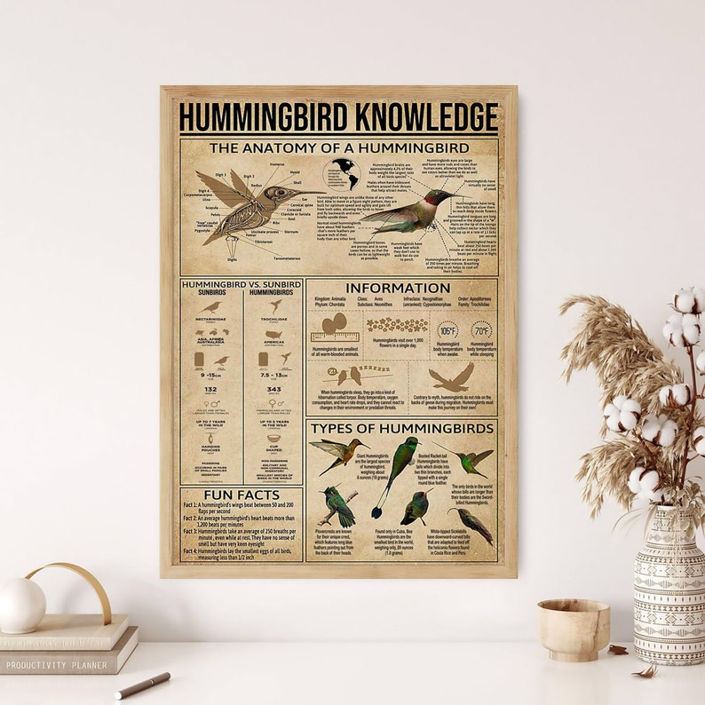 Unframed Hummingbird Knowledge Poster, Hummingbird Lover Gift, All ...