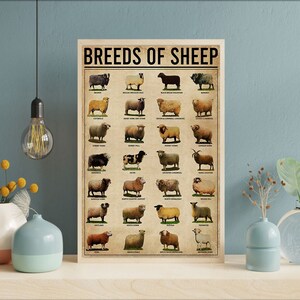 Breeds of Sheep Poster, Sheep Lover Gift, Sheep Vintage Art, Vintage ...