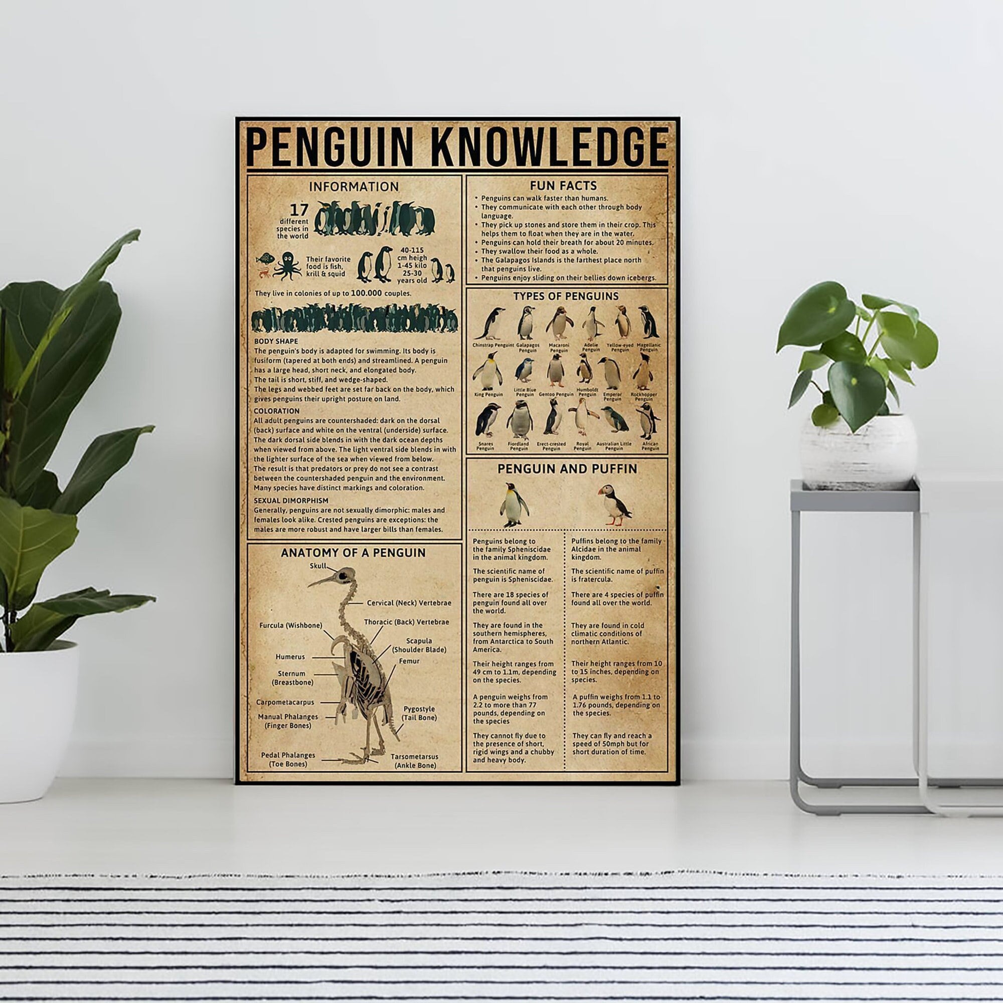 Penguin Knowledge Poster Penguin Lover Gift Penguin Art - Etsy