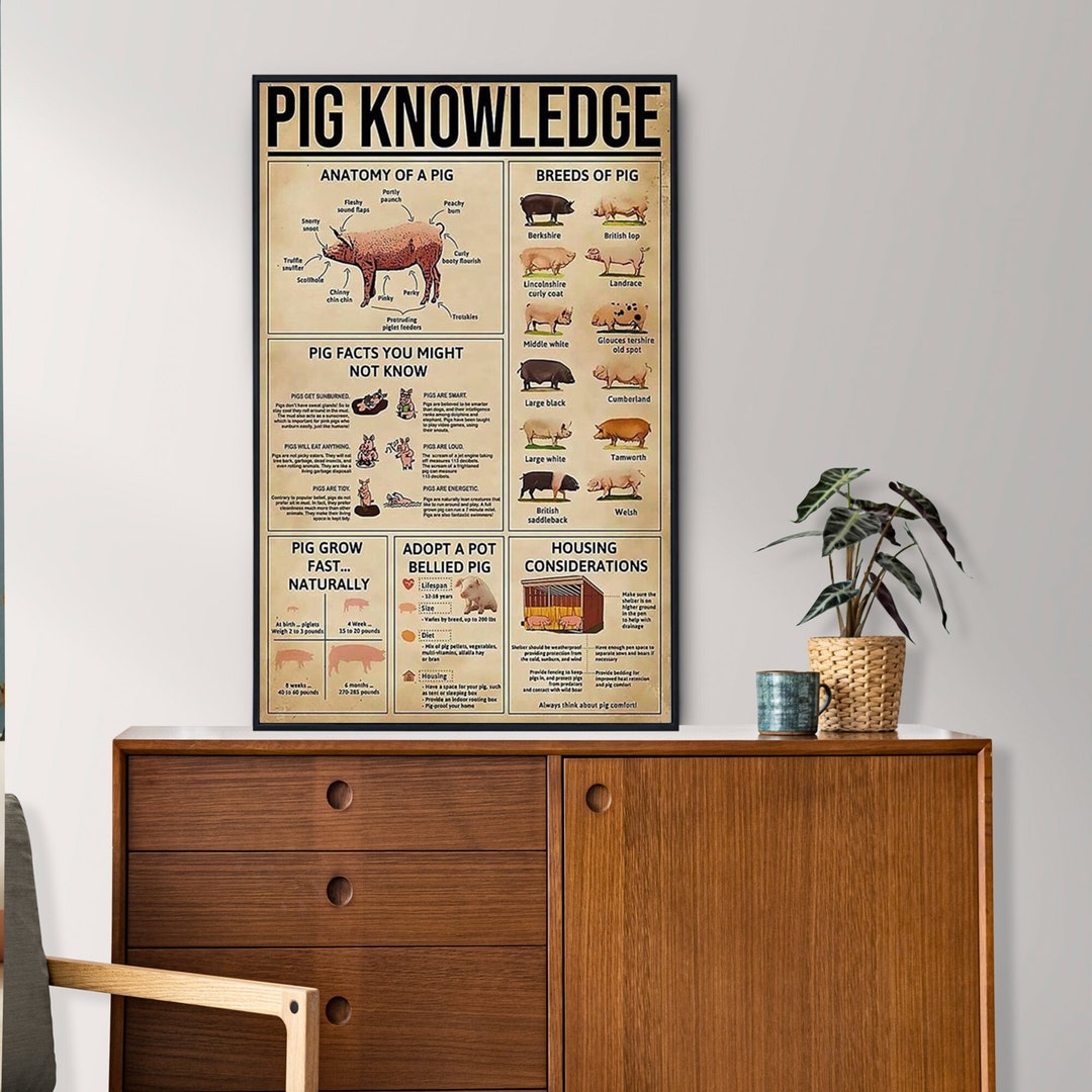 Pig Knowledge Poster, Pig Lover Gift, All About Pig Poster, Vintage ...