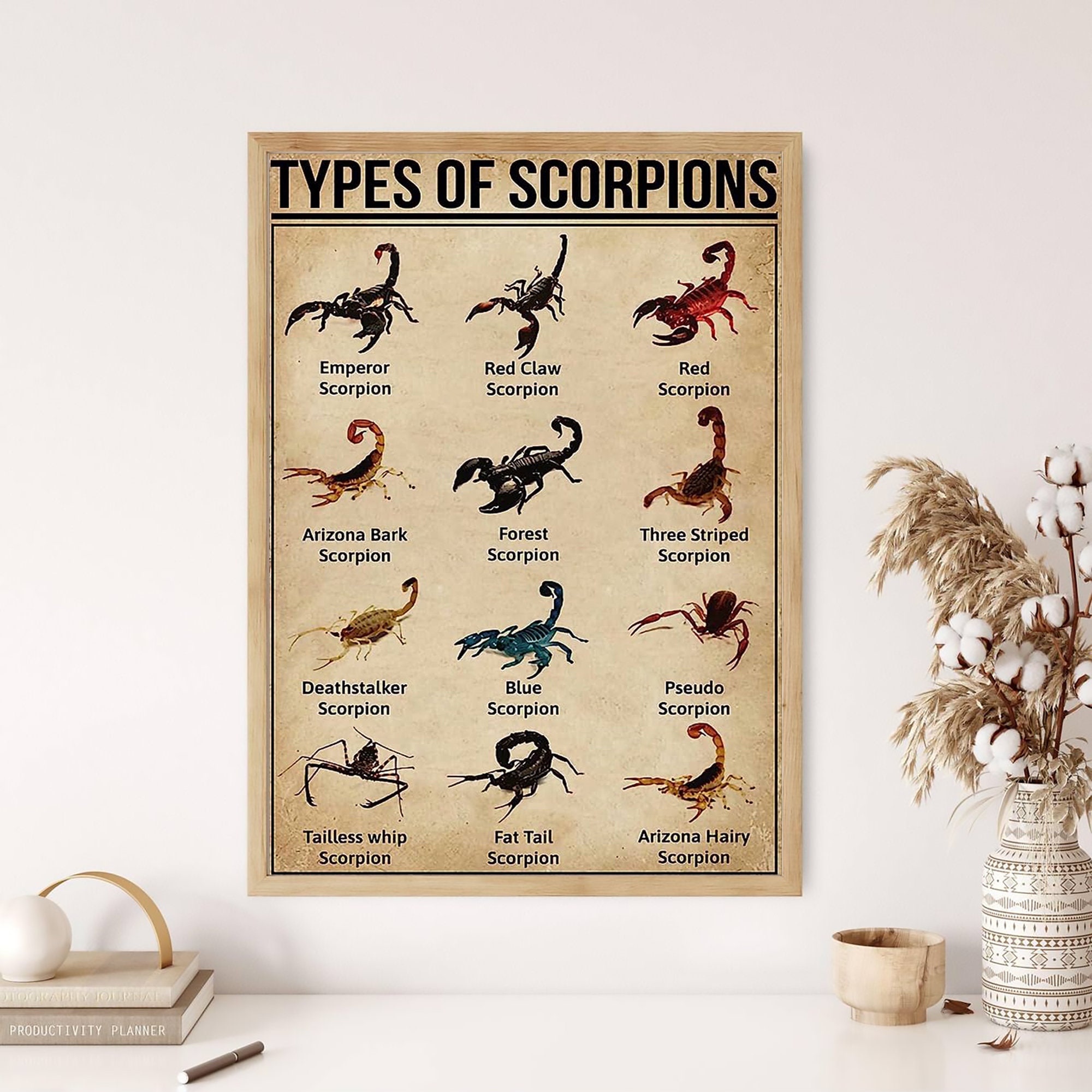 Types of Scorpions Vintage Poster, Scorpion Lover Gift, Scorpion Art ...
