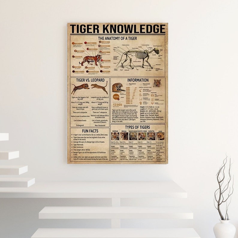 Vintage Tiger Knowledge Poster, Tiger Anatomy Chart Poster, Vintage ...