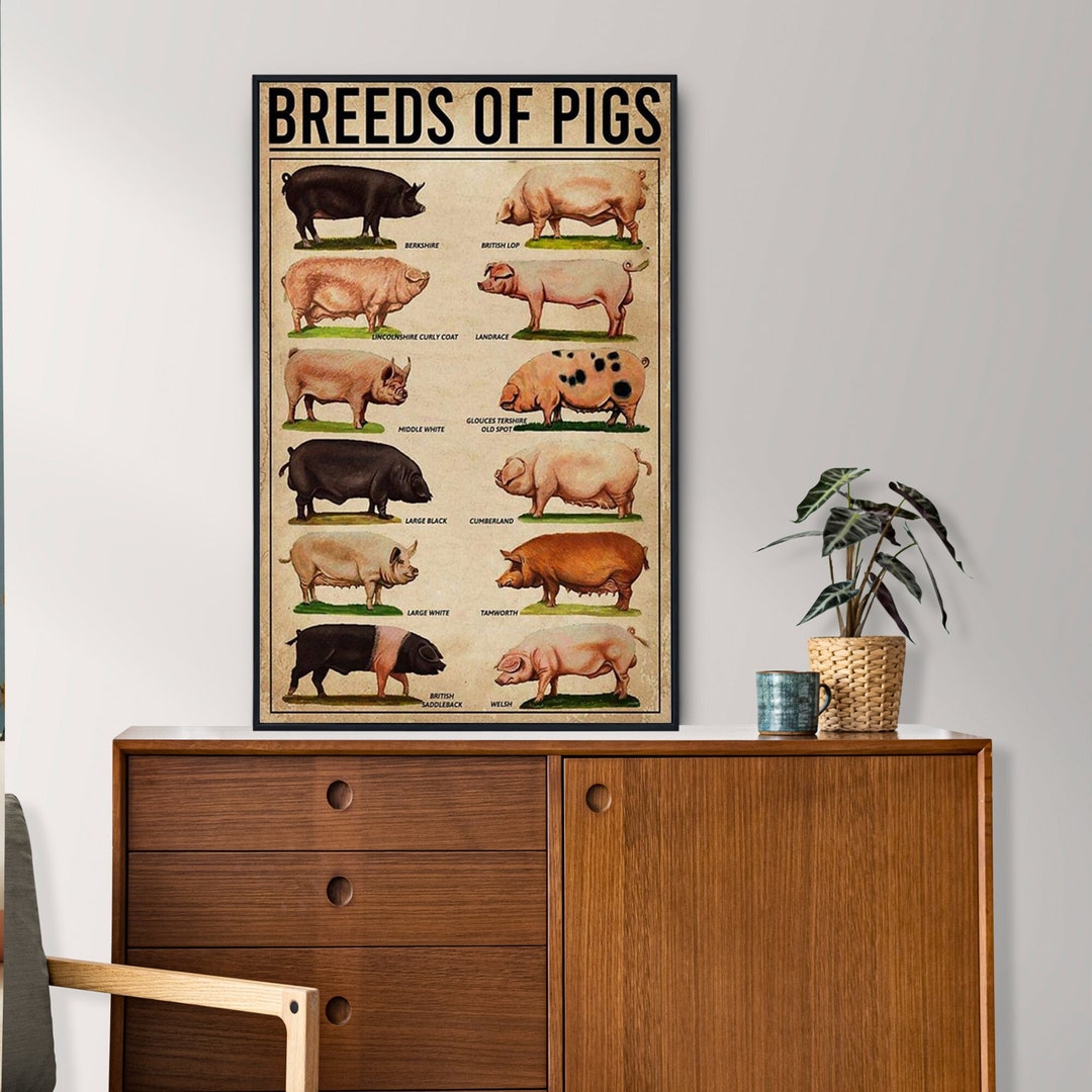 Breeds of Pigs Poster, Pig Lover Gift, Pig Art Print, Vintage Knowledge ...