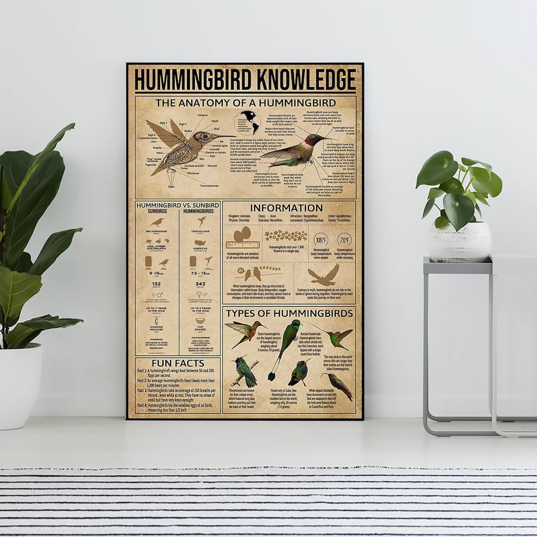 Hummingbird Knowledge Poster, Hummingbird Lover Gift, All About ...