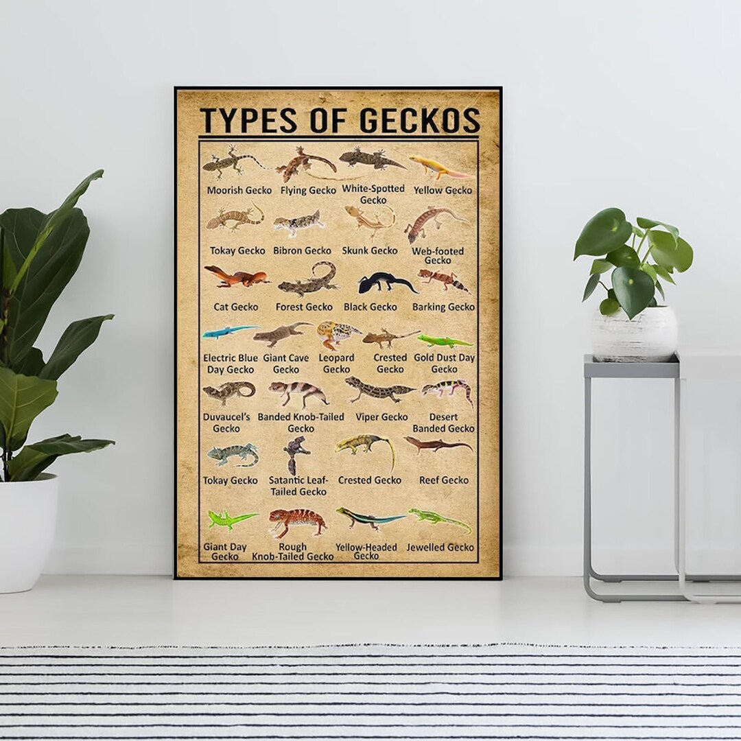 Types of Geckos Poster, Gecko Lover Gift, Gecko Print, Gecko Art ...
