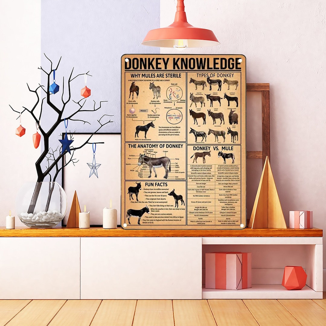 Donkey Knowledge Vintage Poster, Types of Donkeys Knowledge Vintage Art ...