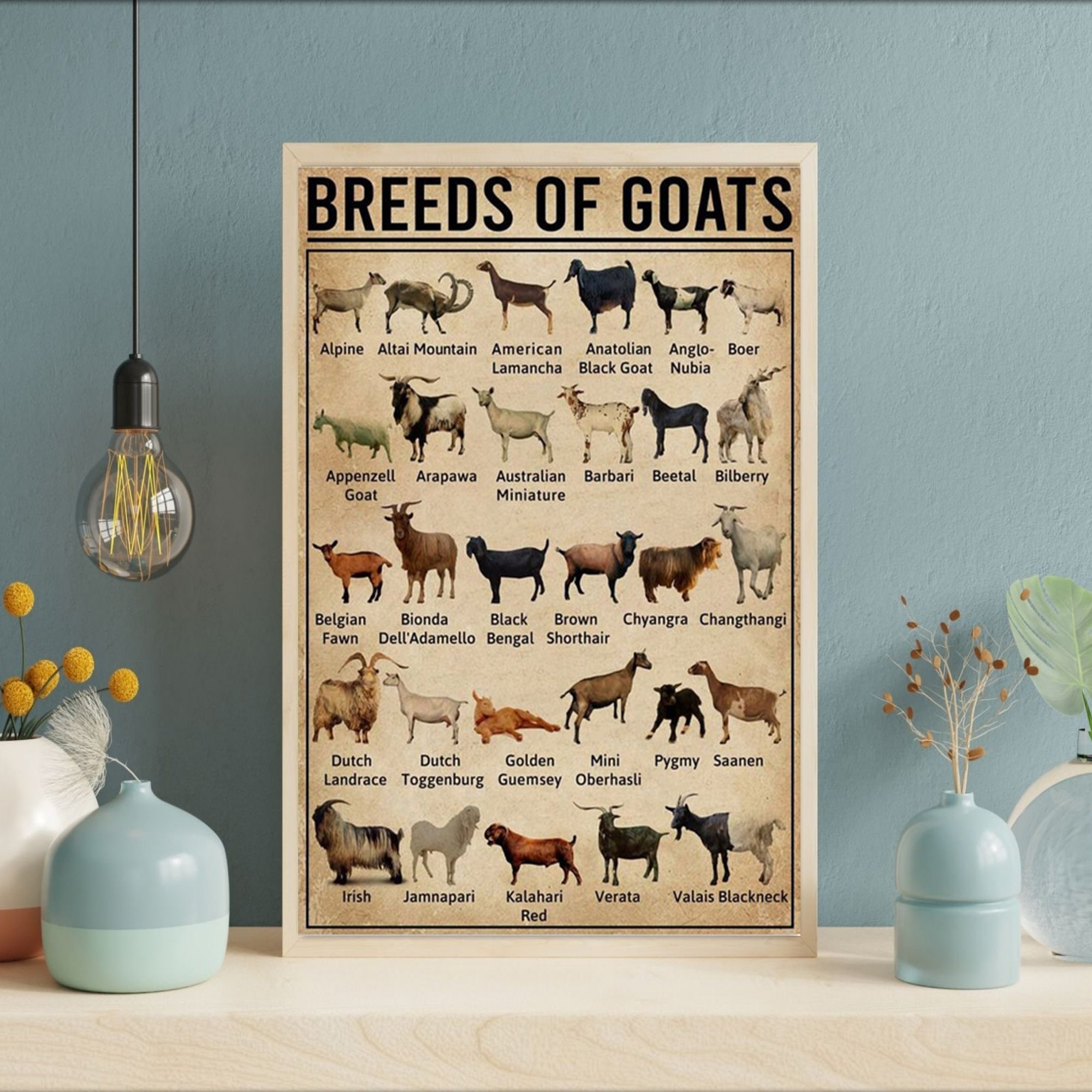 Breeds of Goats Poster Goat Lover Gift Goat Art Print - Etsy