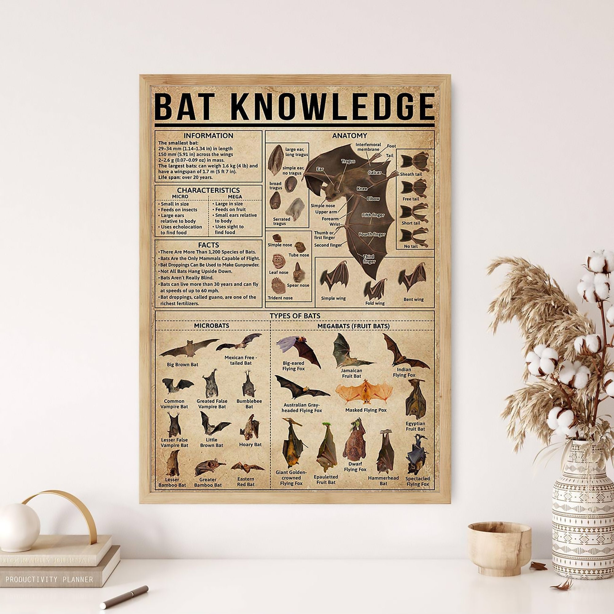 Bat Knowledge Poster, Bat Lover Gift, All About Bat, Bat Print, Vintage ...