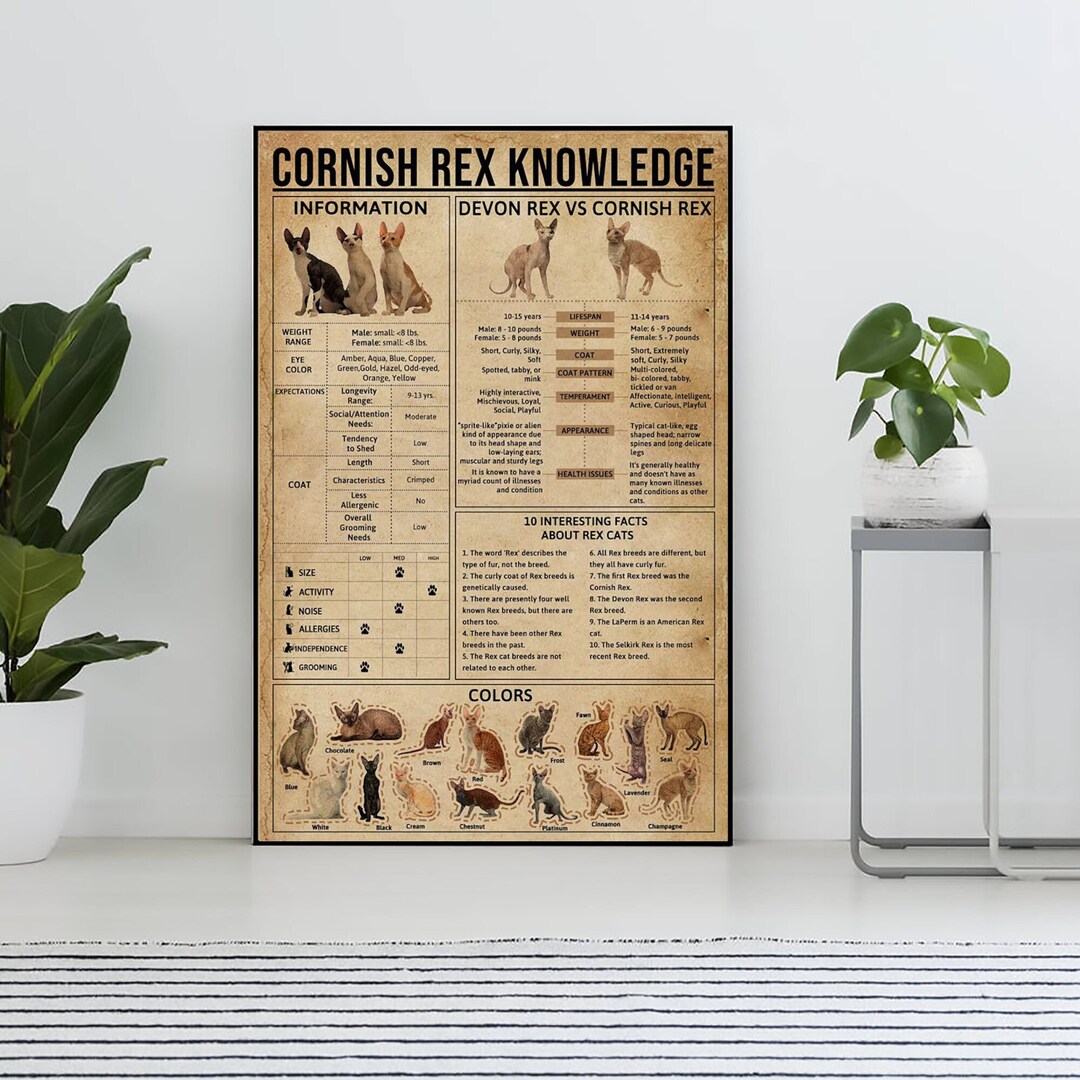 Cornish Rex Knowledge Vintage Poster, Cornish Rex Lover Gift, All About ...