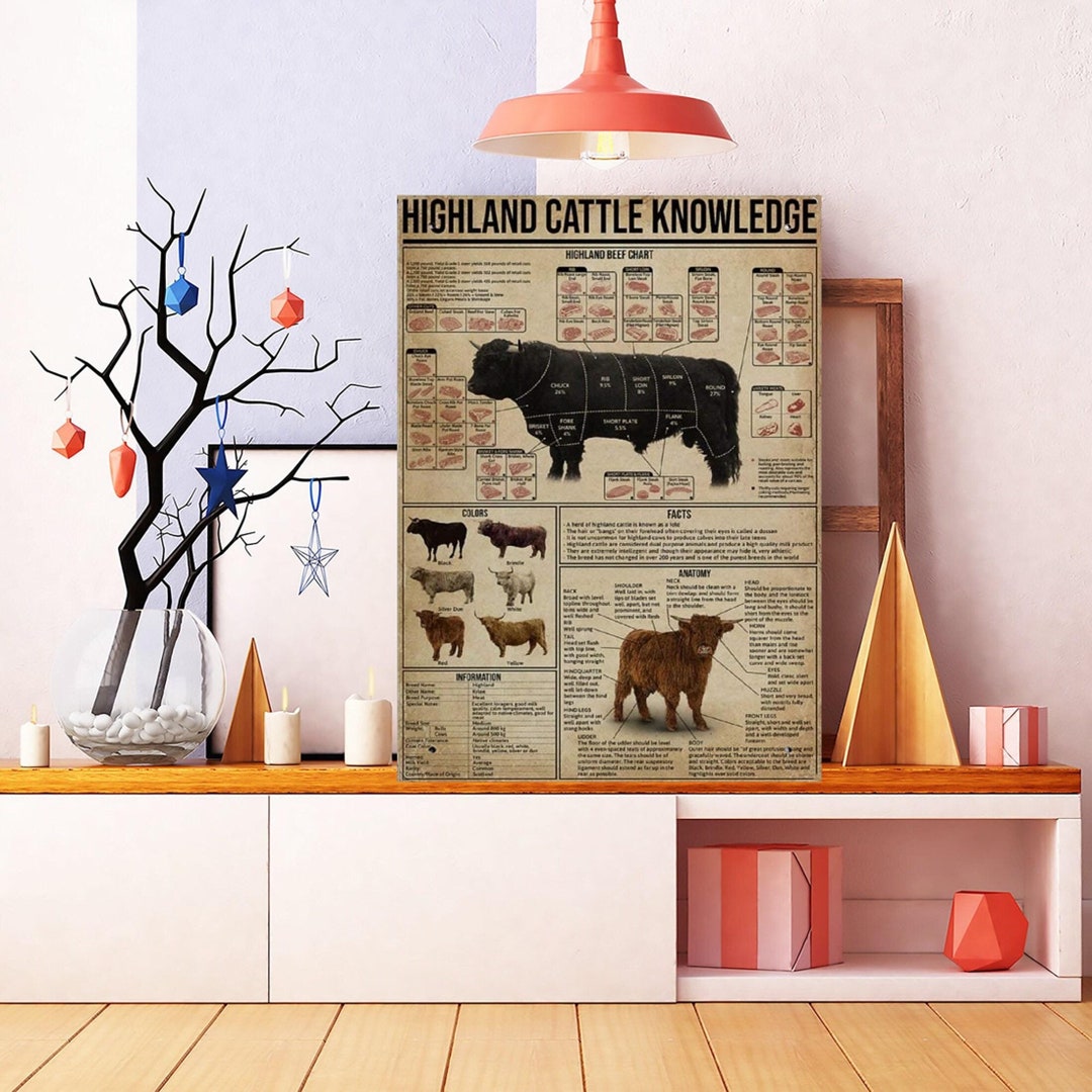 Highland Cow Cattle Knowledge Poster, Cattle Lover Gift, Cattle Vintage ...