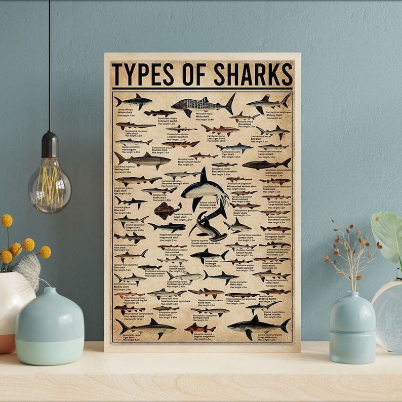 Unframed Types of Sharks Vintage Poster, Shark Lover Gift, Shark Poster ...