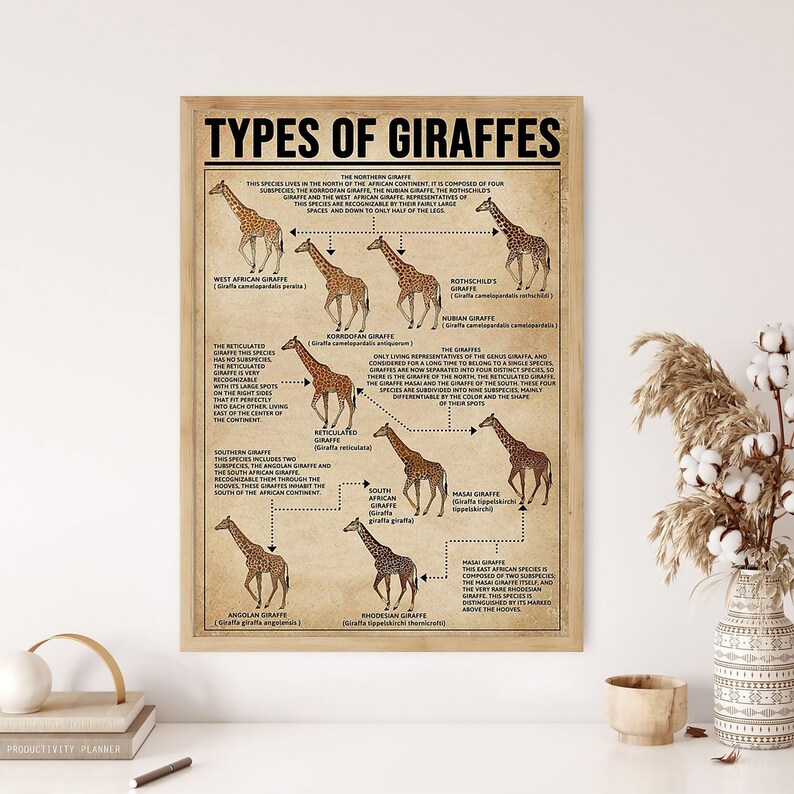 Types of Giraffes Vintage Poster Giraffe Lover Gift Giraffe - Etsy