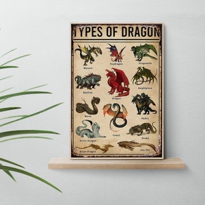 Types of Dragon Poster, Dragon Lover Gift, Dragon Poster, Dragon Art ...
