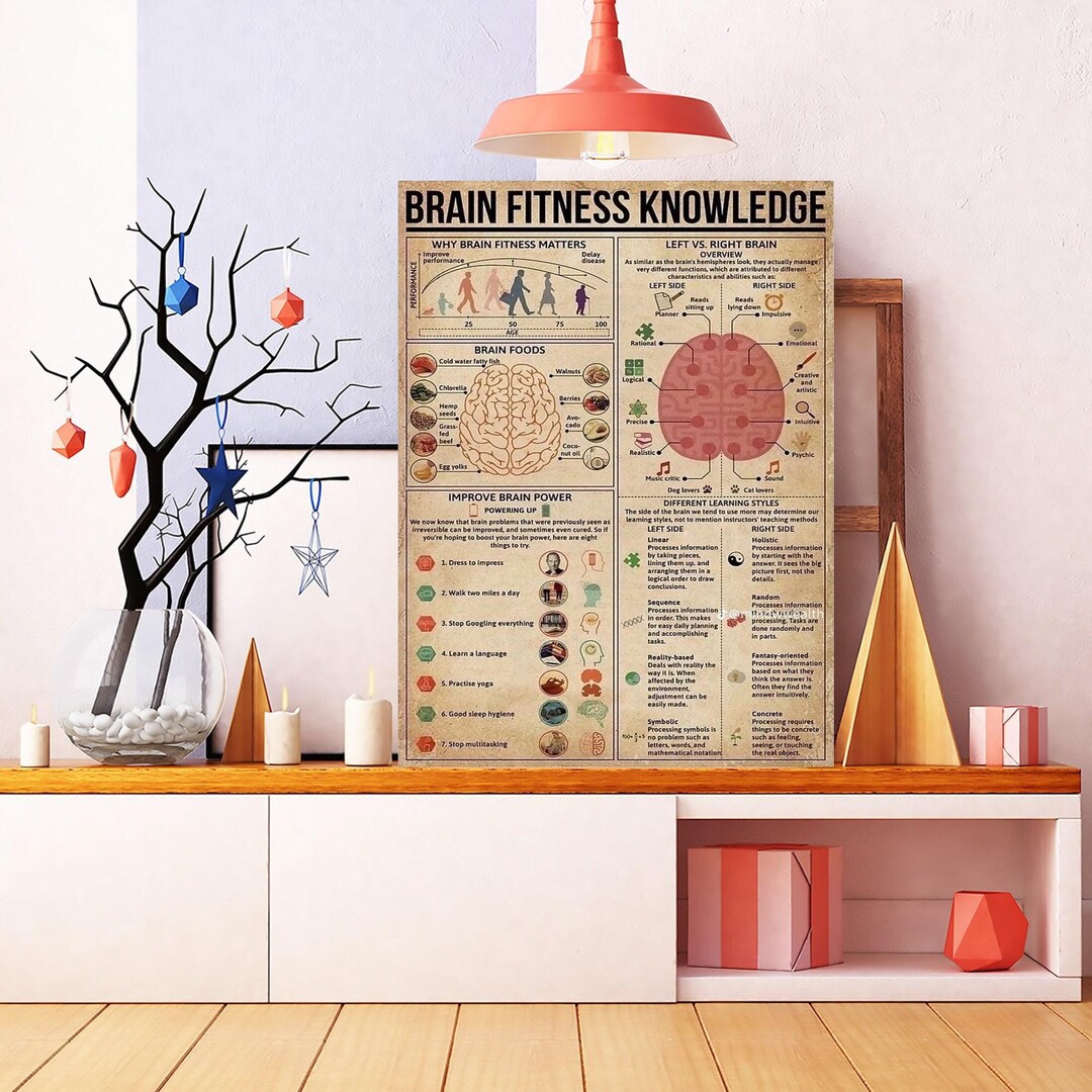 Brain Fitness Knowledge Poster, Brain Knowledge Poster, Brain Anatomy ...