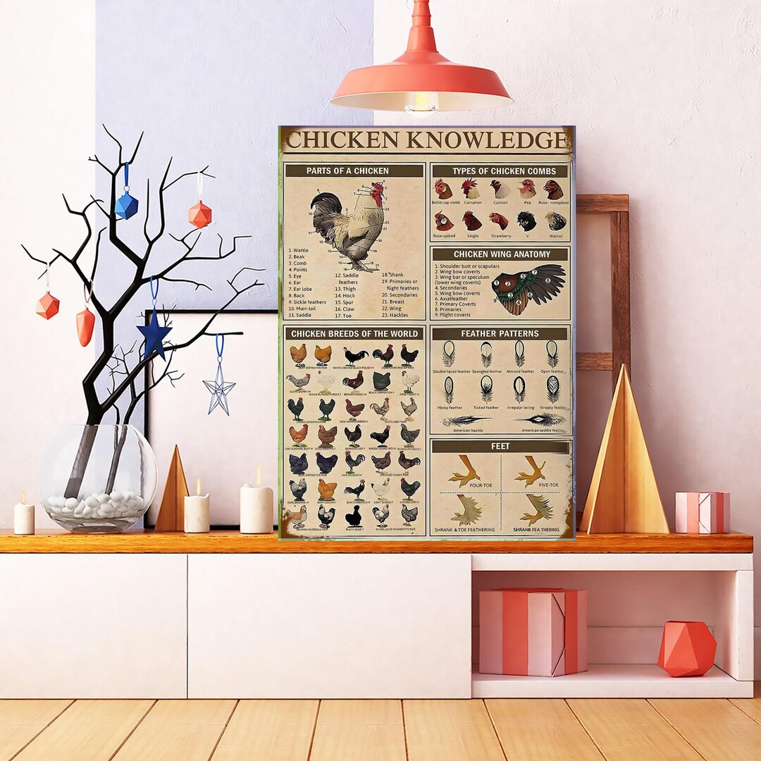 Unframed Chicken Knowledge Poster, Anatomy of A Chicken Wall Art, Know ...