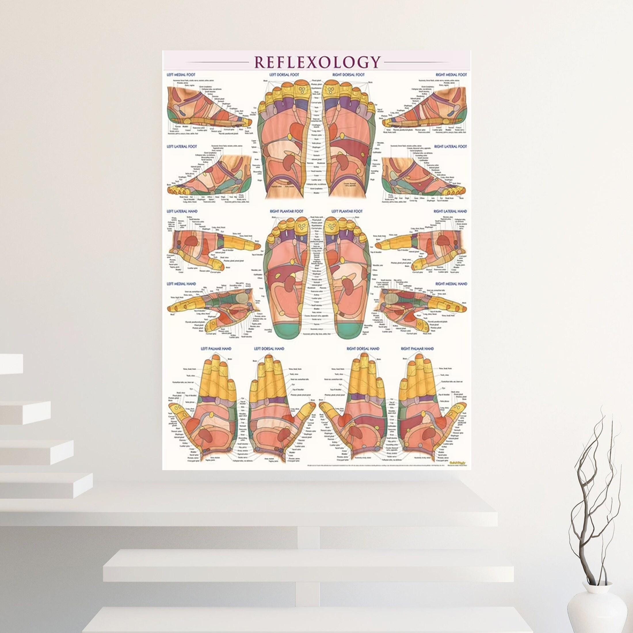 Unframed Reflexology Poster, Massage Therapist Knowledge Poster ...