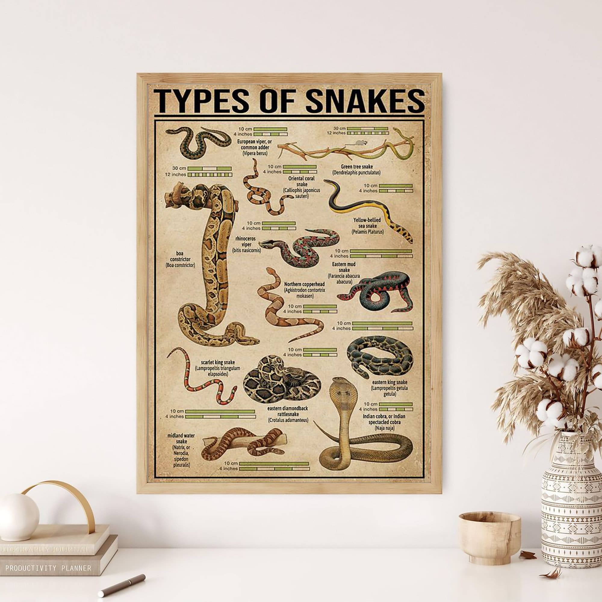Types of Snakes Vintage Poster, Snake Lover Gift, Snake Art Print ...