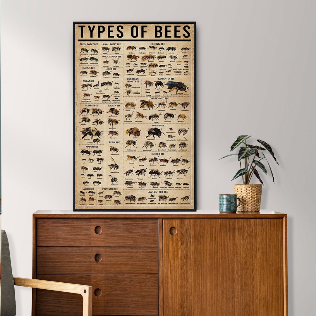 Unframed Types of Bees Vintage Poster, Bee Lover Gift, All About Bee ...