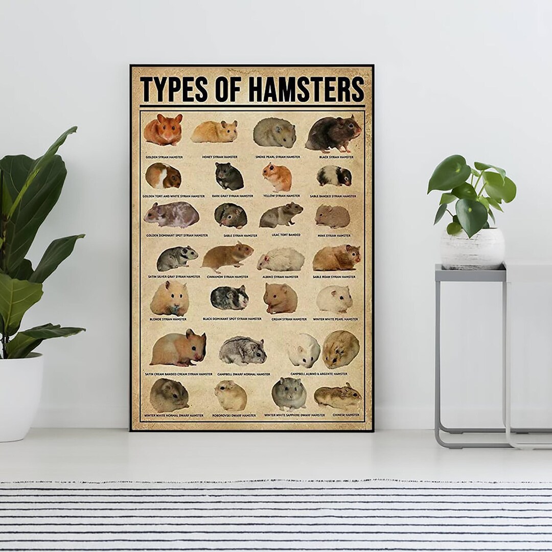 Types of Hamsters Vintage Poster, Hamster Lover Gift, Hamster Art Print ...