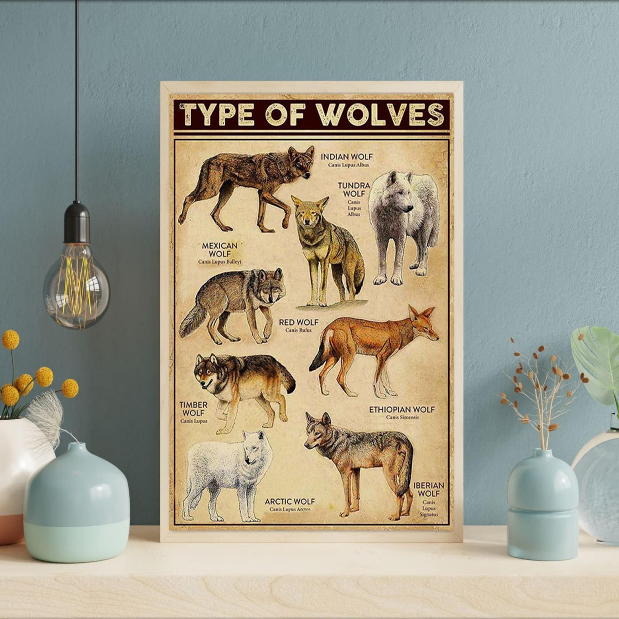 Types of Wolves Poster Wolves Lover Gift Wolves Art Print - Etsy