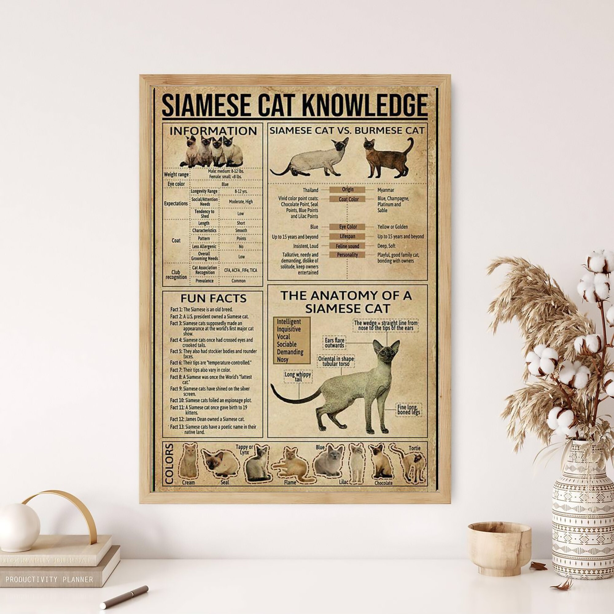 Siamese Cat Knowledge Vintage Poster, Siamese Cat Lover Gift, All About ...