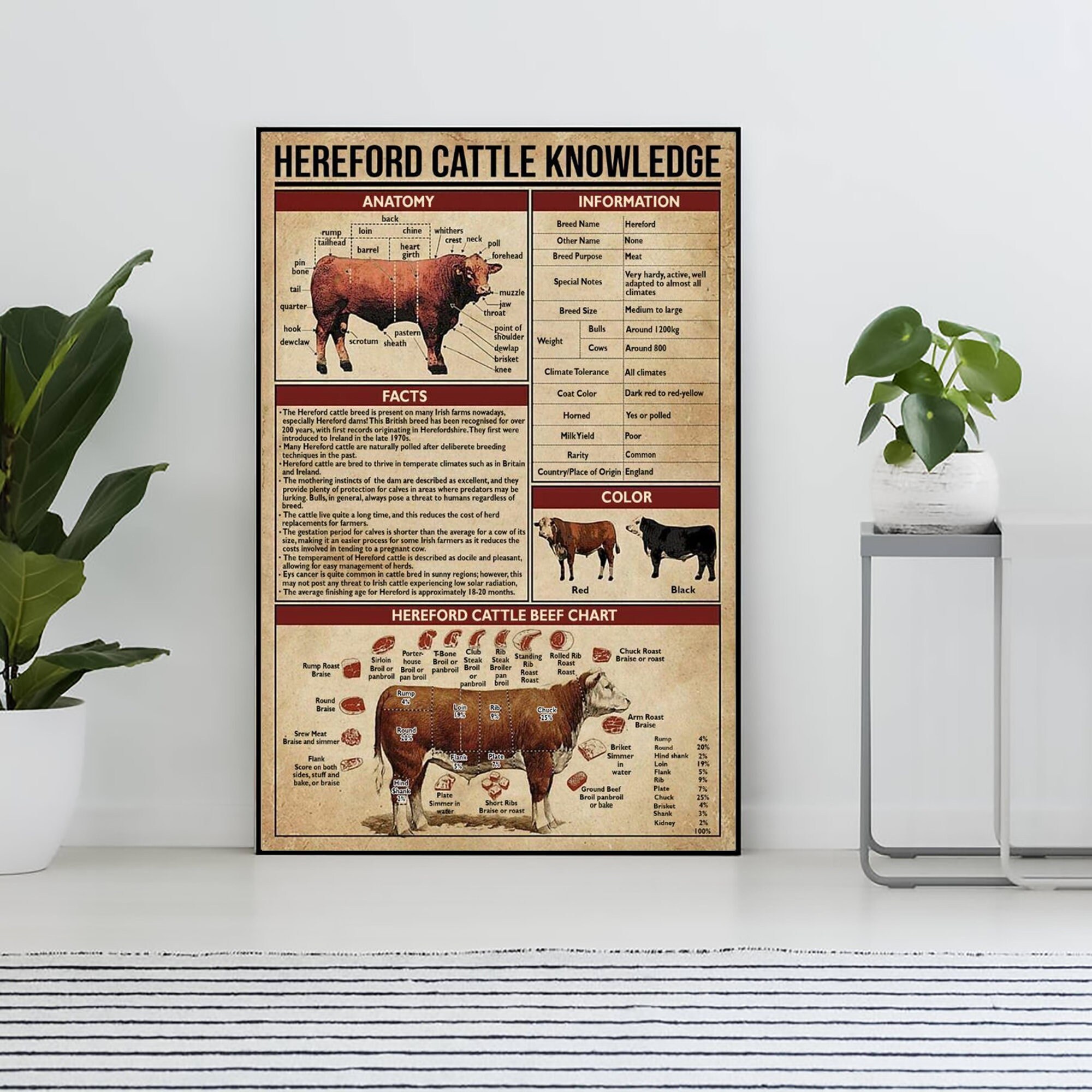 Hereford Cattle Knowledge Vintage Poster, Hereford Cattle Lover Gift ...