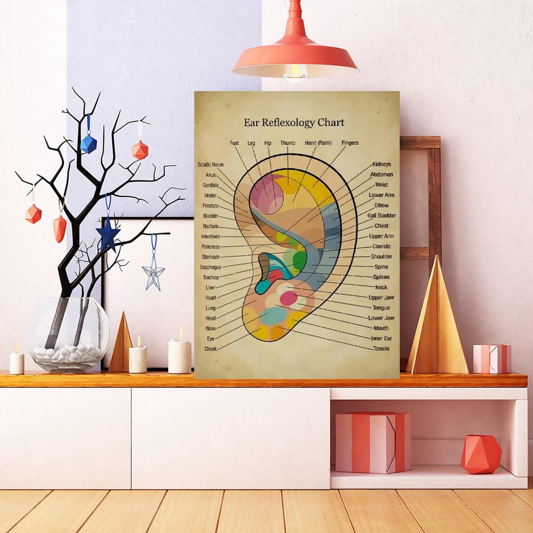 Unframed Ear Reflexology Chart Poster, Acupuncture Ear Microsystem ...
