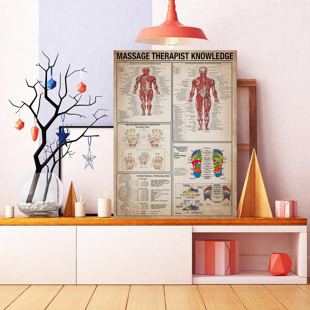 Unframed Massage Therapist Knowledge Poster, the Muscular Systen Branch ...