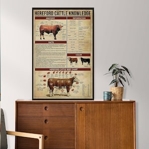 Unframed Hereford Cattle Knowledge Poster, Vintage Hereford Cattle ...