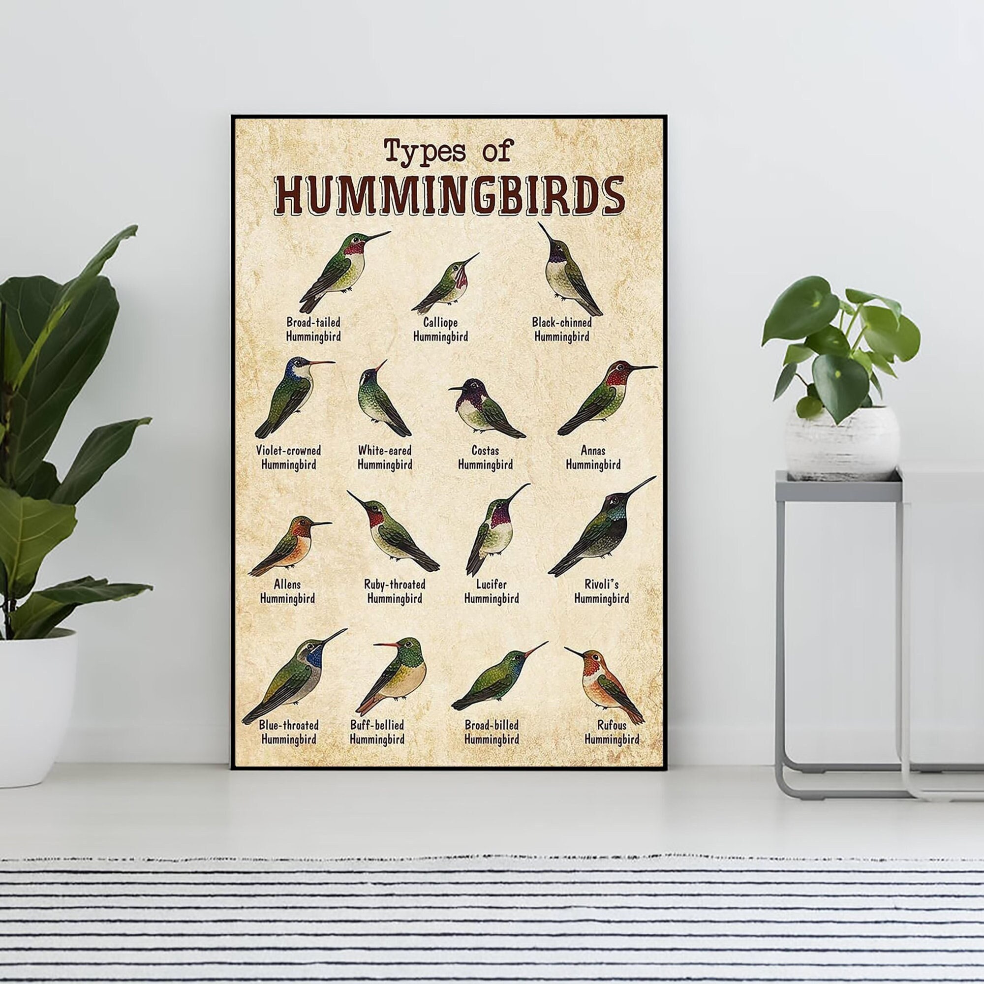 Types of Hummingbirds Poster Hummingbird Lover Gift - Etsy