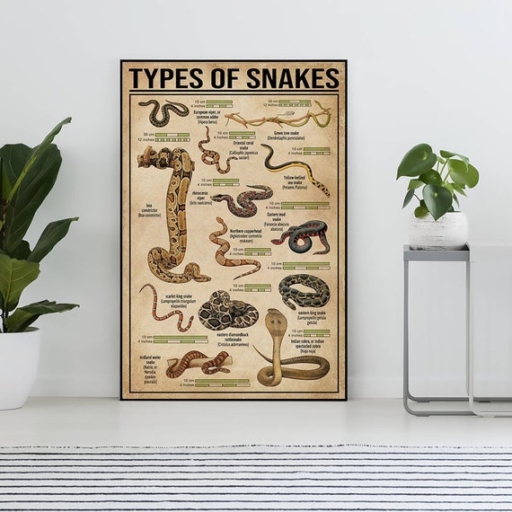Snake Chart Venomous Snakes Of Planet Earth Natural, 47% OFF