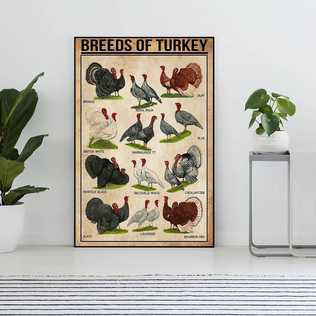 Breeds of Turkey Poster, Turkey Lover Gift, Turkey Art Print, Knowledge ...