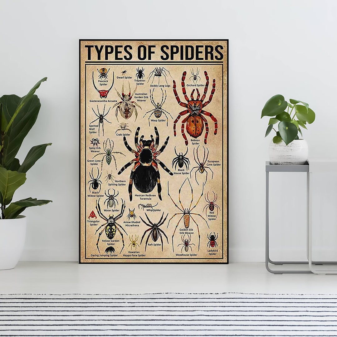Unframed Types of Spiders Vintage Poster, Spider Lover Gift, Spider Art ...