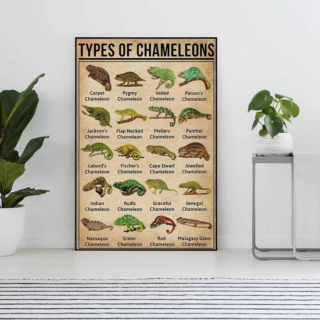 Unframed Types of Chameleons Vintage Poster, Chameleon Lover Gift ...