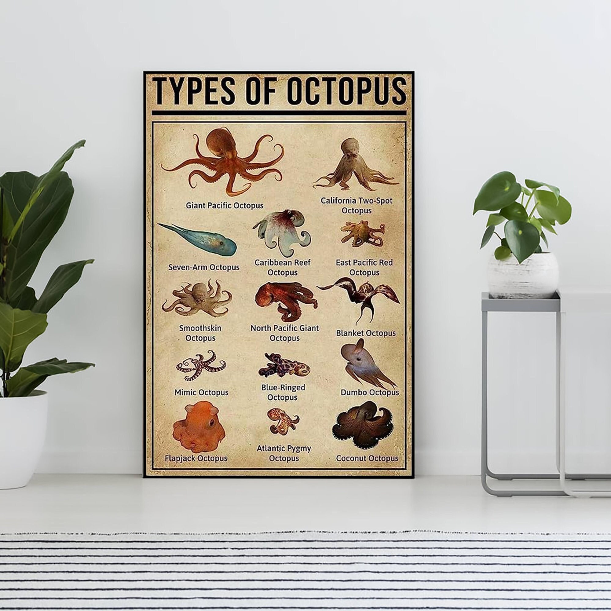 Types of Octopus Vintage Poster Octopus Lover Gift Octopus - Etsy