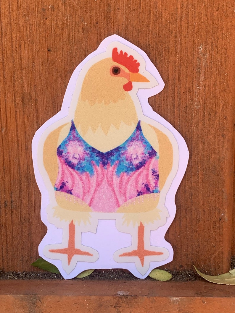 Taylor Swift Eras Tour Outfit Chicken Stickers FULL SET - Etsy