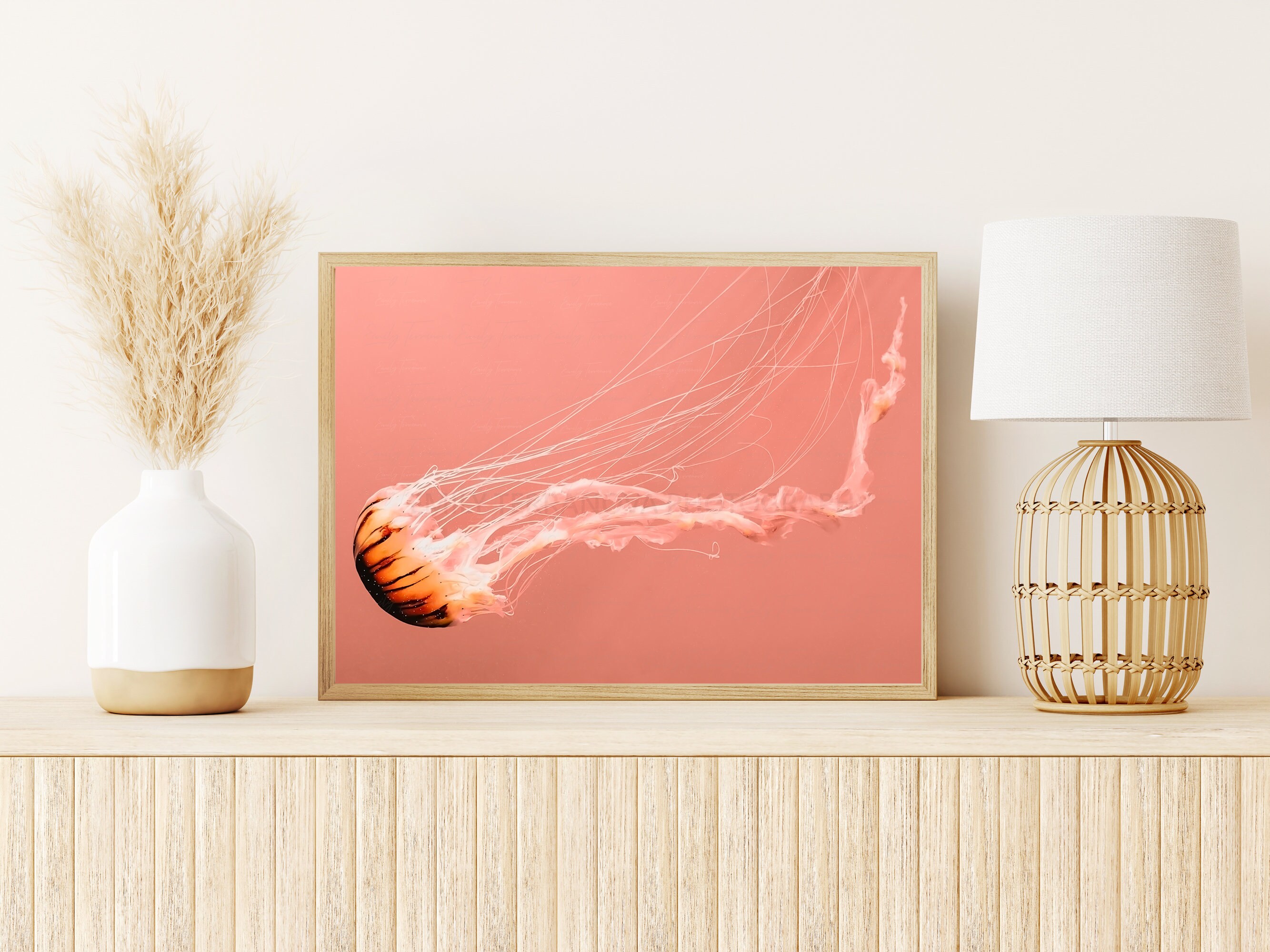 Sunset Jellyfish Photography Print Aquatic Print, Nautical Print ...