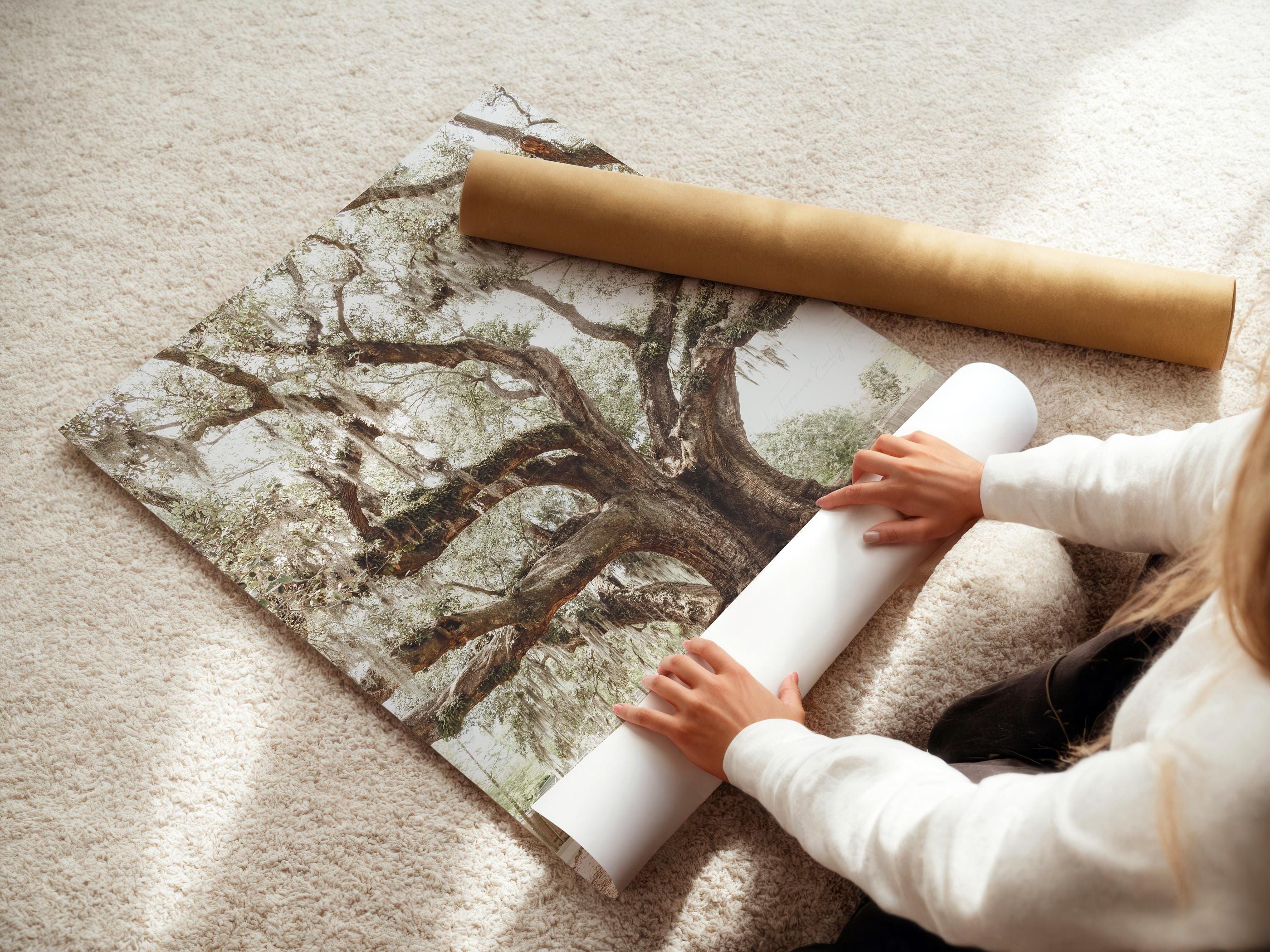 New Orleans Tree of Life POSTER Oak Tree Print, Audubon Park Wall Art ...