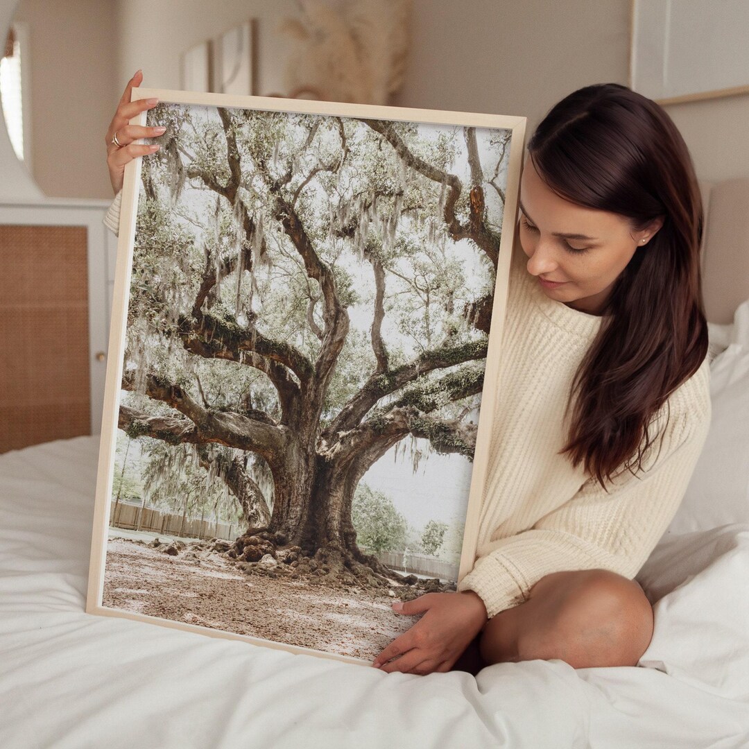 New Orleans Tree of Life POSTER Oak Tree Print, Audubon Park Wall Art ...