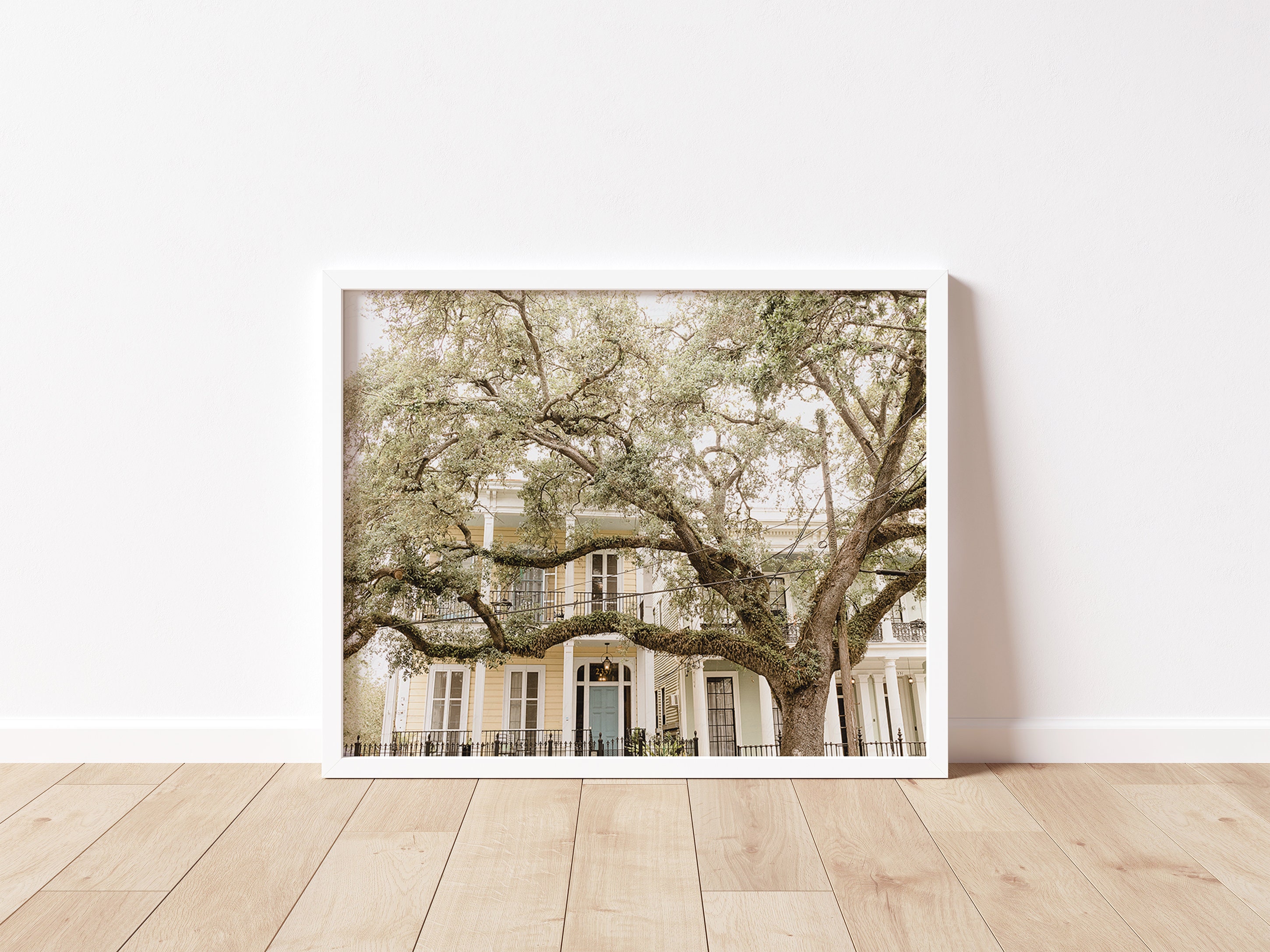 Gorgeous NOLA Homes With Towering Oak Tree Photography Print - Etsy