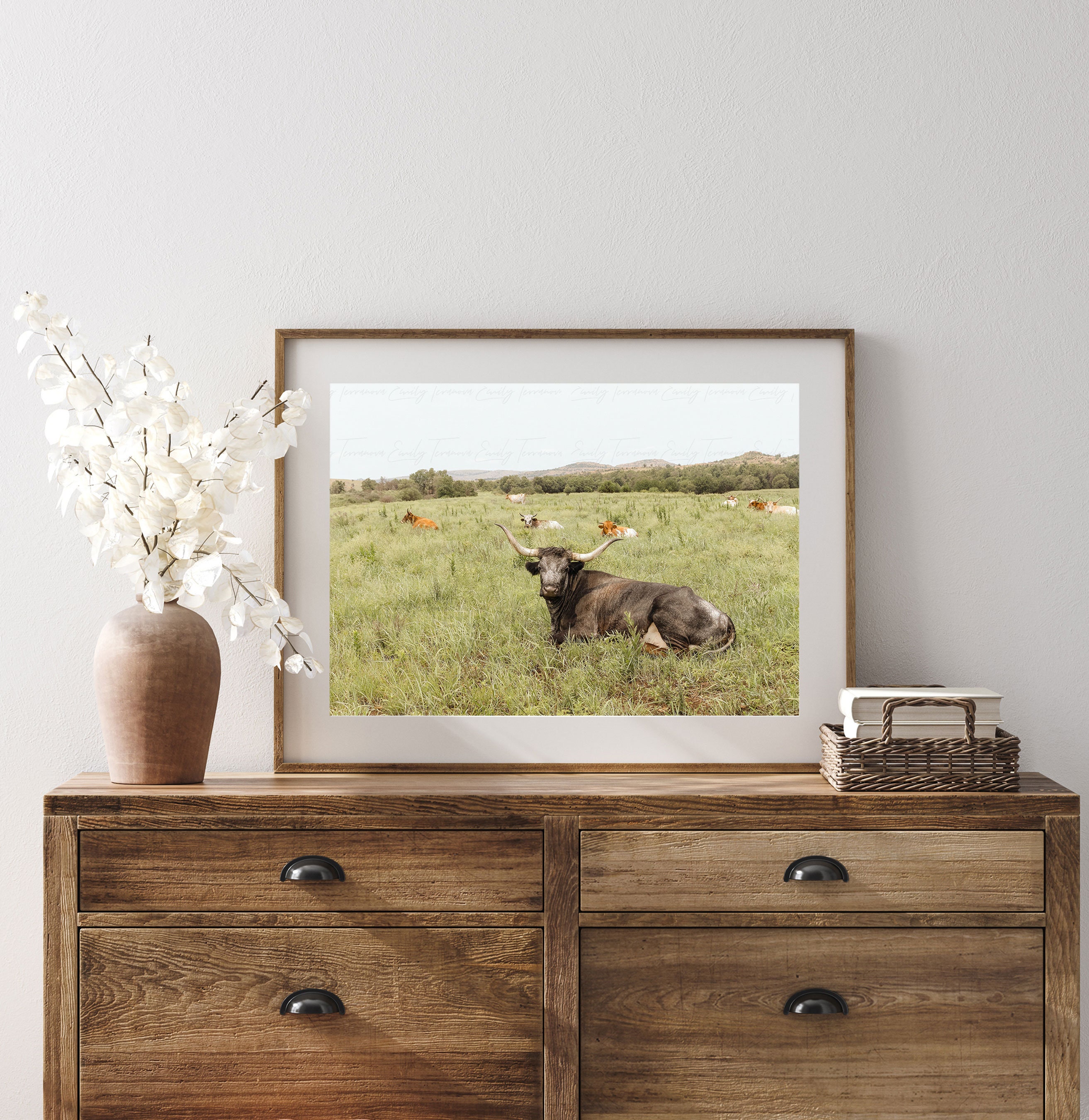 Wild West Wonders : Cattle in Prairie Photography Print & Poster ...