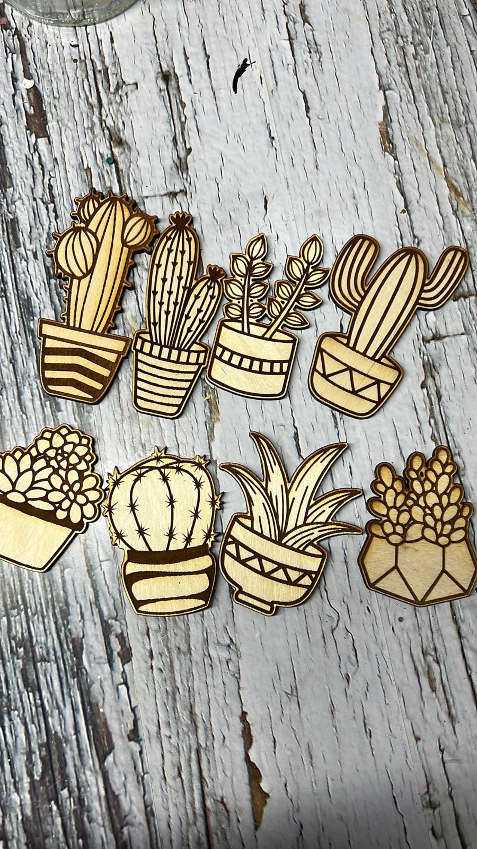 Succulent Cactus Magnets SVG File - Etsy