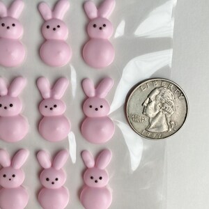 Royal Icing Bunny Pepps / Bunny Sprinkles / Easter Tranfers - Etsy