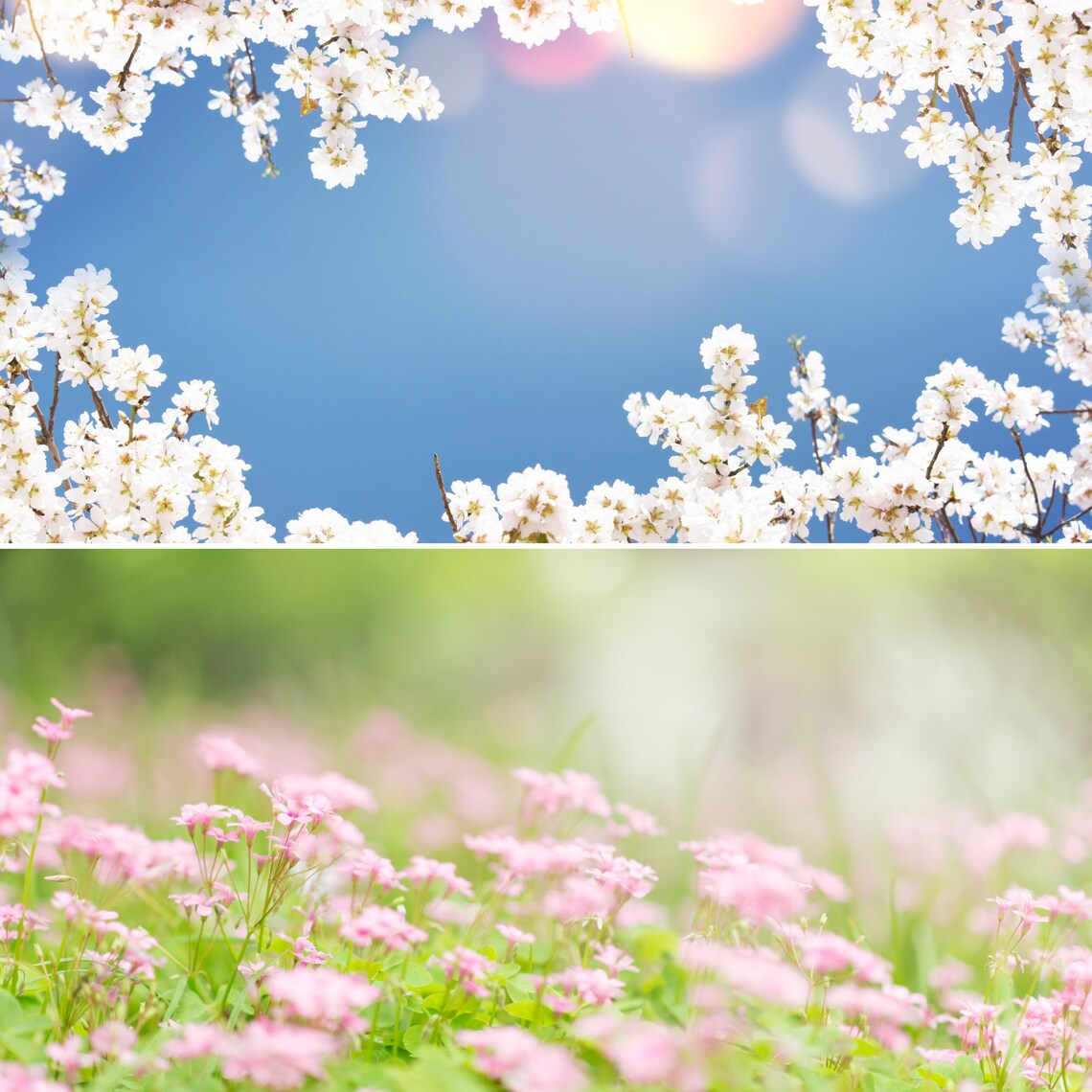 Spring zoom background - berlinsop